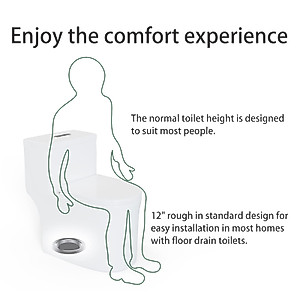 SUPERFLO One Piece Toilet Elongated Comfort Height Toilets, Standard 12" Rough-in & 0.8/1.28 GPF Dual Flush, Siphonic Flush Small Toilets for Small Bathroom with Side Holes