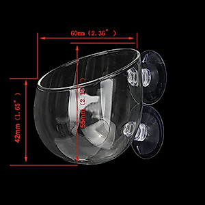 Senzeal 2X Crystal Glass Aquatic Plant Cup Pot with 4X Suction Cups for Fish Tank Aquarium Aquascape