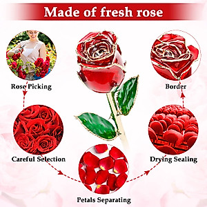 24k Gold Dipped Real Rose, for Her/Girlfriend, Forever 24k Rose with Crystal Stand, Handmade Gifts for Women Wife Mom on Valentines Day Birthday Anniversary Mother's Day