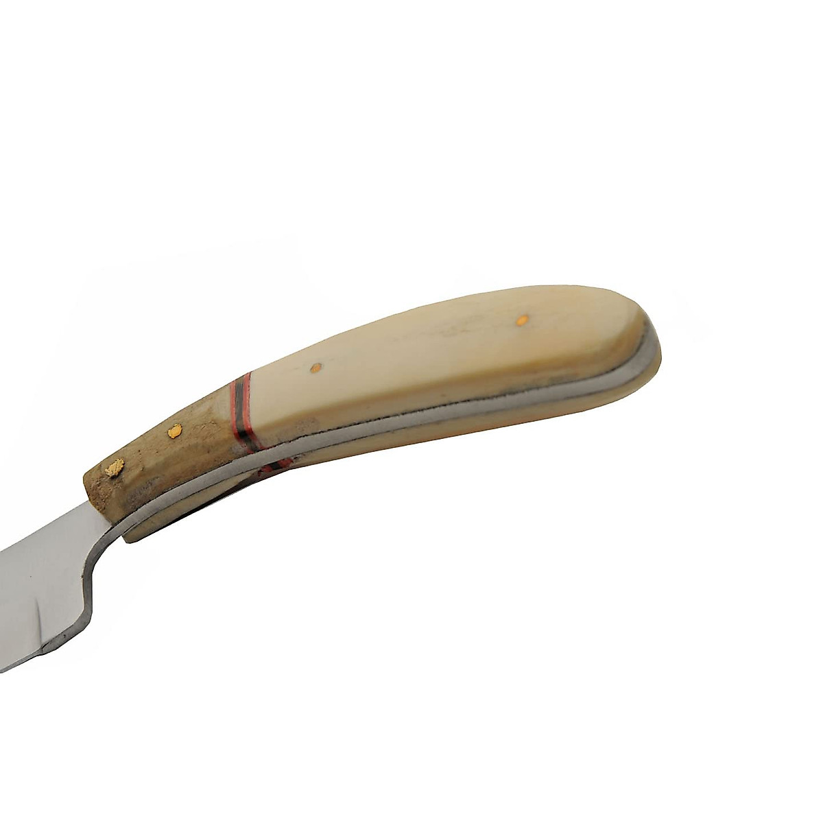 Curved Stainless Steel Blade Bone/Stag 8 inch Hunting Knife