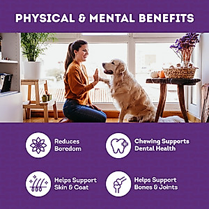 Treatly Combo Chews Beefhide Twist Sticks 5" w/Pork Meat Wrap Dog Chew Treats - 20 Count/1 Pack