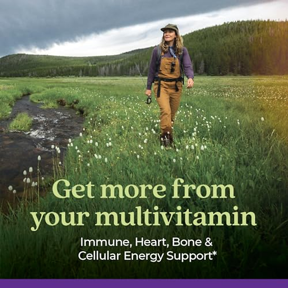 New Chapter Women's Multivitamin 50 plus for Cellular Energy, Heart & Immune Support with 20+ Nutrients + Astaxanthin - Every Woman's One Daily 55+, Gentle on The Stomach, 48 Count