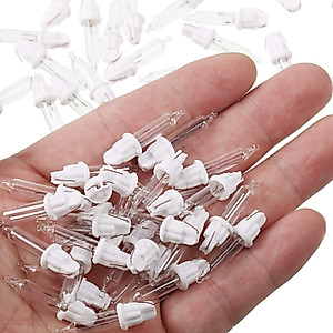 Mudder 60Count 2.5V Christmas 50/100/150/200 Count Mini Incandescent Wire String Lights Replacement Bulbs Indoor/Outdoor Christmas Lights Decor for Home Xmas Tree (White Base with Warm White Bulb)