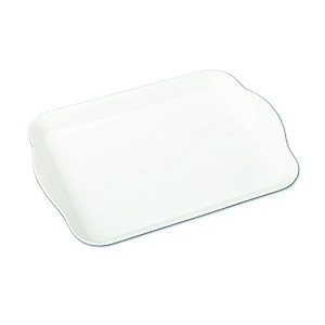 AMAZING CHILD Attractive Premium Small Plastic Tray. Approx. 11" x 8"