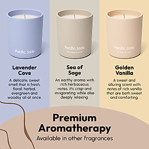 PACIFIC JADE Hand Poured 100% Natural Soy Candle 11oz - Luxury Fragrance in Matte Glass for Home or Gift - Premium Cotton Wick for 60 Hours Burn Time - Woman-Founded Brand (Golden Vanilla)