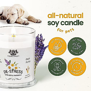 Gerrard Larriett - Deodorizing Soy Candles for Pets, Scented Candles for Removing Pet/Household Odors, Lasts up to 40 Hours, White Candles for Home Scented with De-Stress Lavender & Chamomile Fragrance, 10 oz