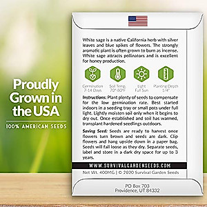 Survival Garden Seeds - White Sage Seed for Planting - Grow Sustainable Smudging Incense - Pack with Instructions to Plant & Grow in Your Home Garden - Non-GMO Heirloom Variety - 3 Packet
