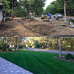 Barenbrug Turf Saver RTF Grass Seed with Yellow Jacket Seed Coating - Less Water Self-Repairing Tall Fescue Turf for Use on Sports Field, Golf Courses, Parks, Lawns, and Yard (10 LB Bag)