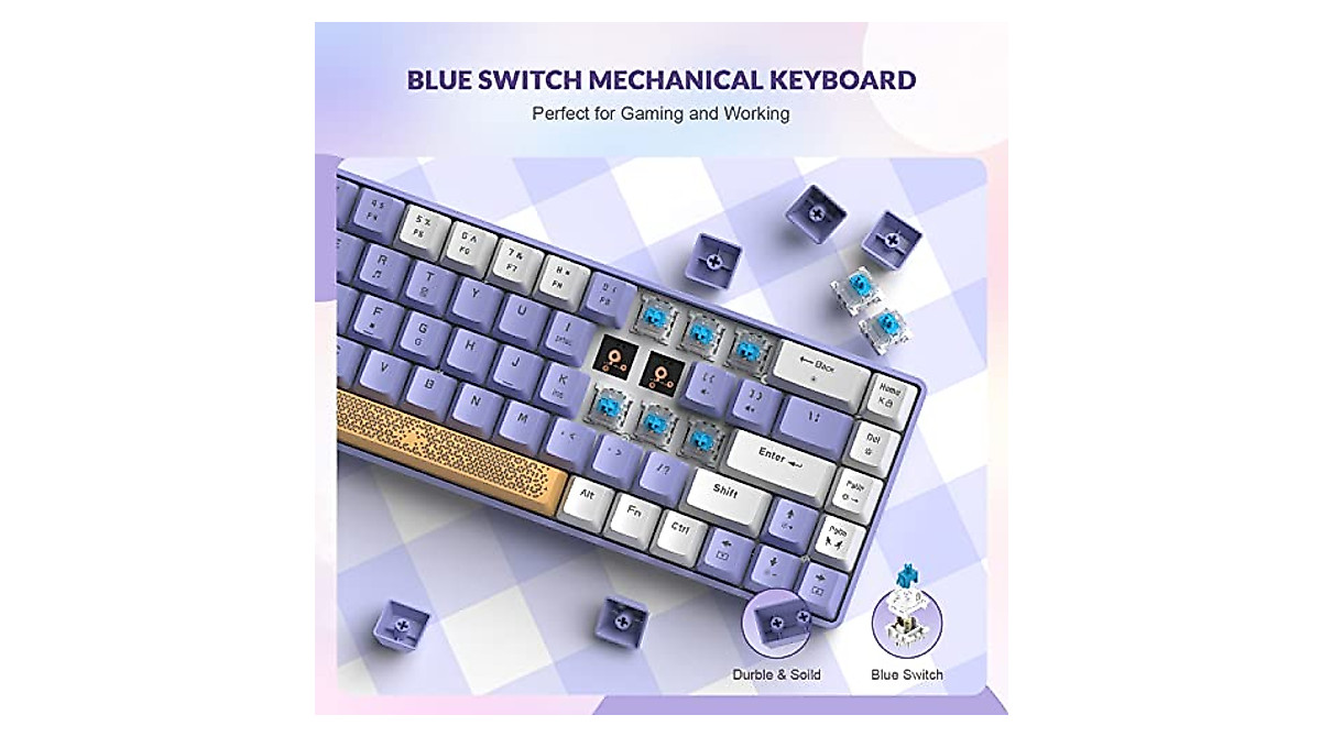 ZIYOU LANG RK-T8 Wired 65% Mechanical Gaming Keyboard with RGB LED ...