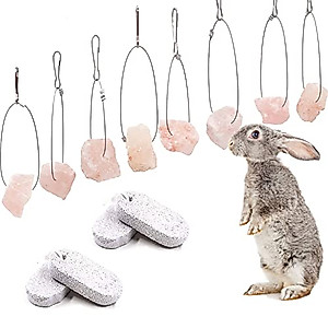 BNOSDM 12 Pack Small Animals Himalayan Salt Licks Set, 6 Rabbit Mineral Salt Blocks and 4 Hamster Teeth Grinding Stones Natural Bunny Chew Treat Toys for Rats Guinea Pigs Ferrets Chinchillas