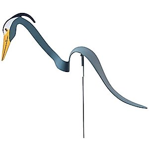 Dancing Yard Blue Heron