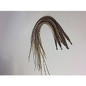 Natural Beige and Brown Feather Hair Extension – Ranging from 8 to 12 Inches, Seven Genuine Rooster Feathers Bonded Together, Includes Two Silicone Micro Beads