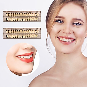 56 Pcs False Teeth Dental Complete Acrylic Resin Denture Teeth, 2 Set Whole Teeth Synthetic Polymer Denture Tooth, 23 Shade A3 Upper + Lower Dental Materials for Replacement, DIY, or Halloween