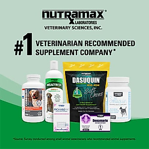 Nutramax Welactin Omega-3 Fish Oil Skin and Coat Health Supplement Liquid for Dogs - 3 Pack, 360 Total Softgels