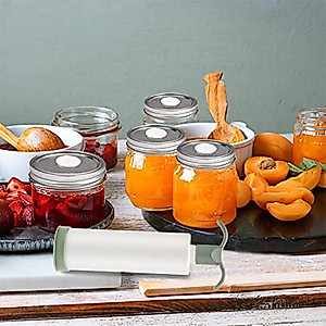 Mason Jar Vacuum Sealer Kit, 8PCS Vacuum Sealer for Jars Including Reusable Stainless Steel Fermenting Kit Vacuum Jar Lids for Wide and Regular Mouth Mason Jars Sealer with Pump and Hose
