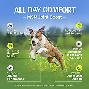 TopDog Health - MSM Joint Boost Powder - Hip & Joint Dog Supplement for Joint Mobility & Flexibility - Natural Anti-Inflammatory with Sulfur - Unflavored