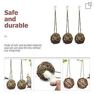 HANABASS 3pcs Bird Chewing Toys Foraging Shredder Toy Parrot Cage Foraging Hanging Toy Bird Grinding Toys for Cockatiel Parrot Small Birds Animal