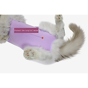 Acoutpet Cat Recovery Suit Female Kitten Cat Onesie for Cats After Surgery Female Spay Surgical Abdominal Wound Skin Diseases Cone Collar Soft Alternative Wear (Purple, S)