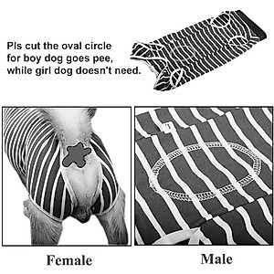 COCHPR Surgery Suit for Dogs Recovery Suit Abdominal Wound Puppy Surgical Clothes Post-Operative Vest Pet After Surgery Wear Substitute (XXXL, Blue and White)