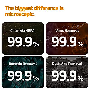 Raycop RS Pro Handheld Bed Vacuum Cleaner - Mattress Cleaner with UV Light Steamless Heat Technology for Eradicating Allergens | Pulsating Brush Cleans Pet Hairs|HEPA Filtration|450W Powerful Suction