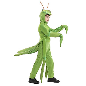 Seasons Child Praying Mantis Costume (L(10-12))