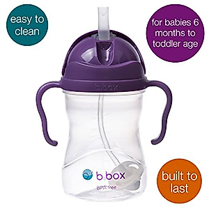 b.box Sippy Cup + Replacement Straw and Cleaner Pack | Includes 2 Weighted Straw Sippy Cups (Raspberry & Grape) | Leak Proof, Spill Proof, BPA Free