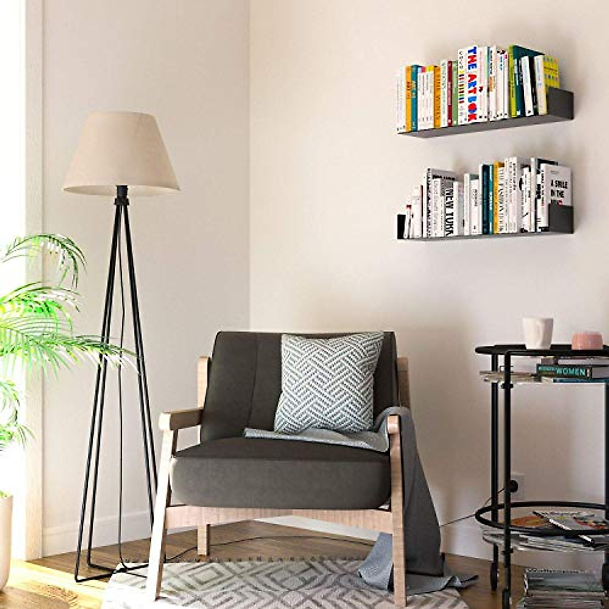 Wallniture Bali Floating Bookshelf and CD DVD Storage Shelves, Video Game Shelf Set of 2, Metal 24 Inch Black Floating Shelves for Wall