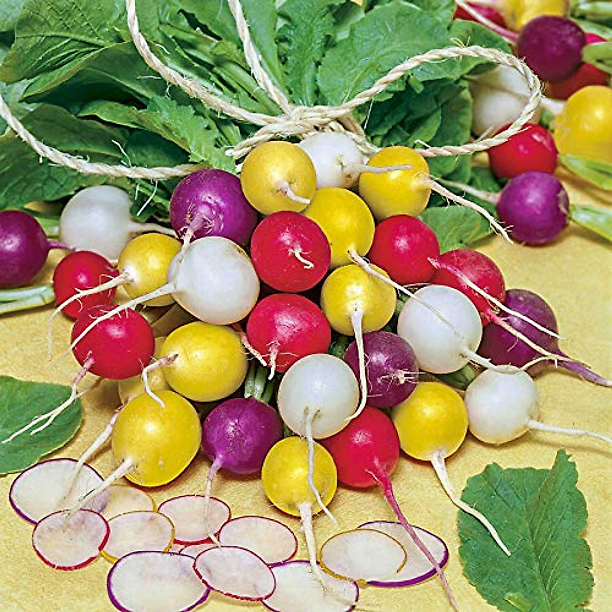 Colorful Radish Seed Mix Easy to Grow Vegetable Garden Seeds for Planting 100 Seeds