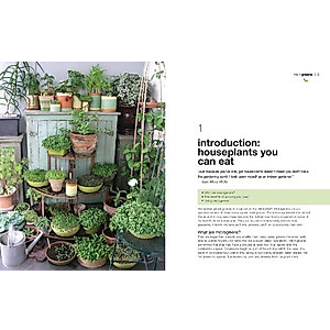 Microgreens: How to Grow Nature's Own Superfood