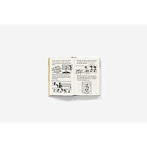 Big Shot Diary of a Wimpy Kid Book 16