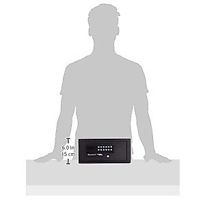 SentrySafe Black Steel Safe with Card Swipe Reader and Digital Keypad Lock, Small Safe with Interior Lighting and Bolt Down Kit, 0.41 Cubic Feet, H060ES