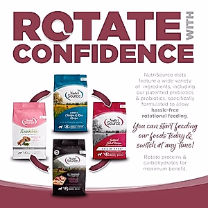 Salmon And Potato Dry Dog Food Size: 25-Lb Bag