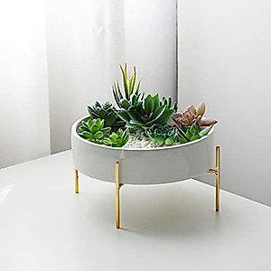 kimisty 10 Inch Large Round Succulent Planter Bowl with Gold Metal Plant Stand, White Ceramic Pot with Drainage, Succulent Garden Shallow Pot, Centerpiece Tabletop