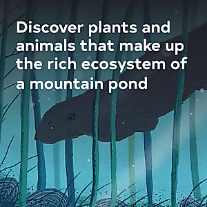 Over and Under the Pond: (Environment and Ecology Books for Kids, Nature Books, Children's Oceanography Books, Animal Books for Kids)