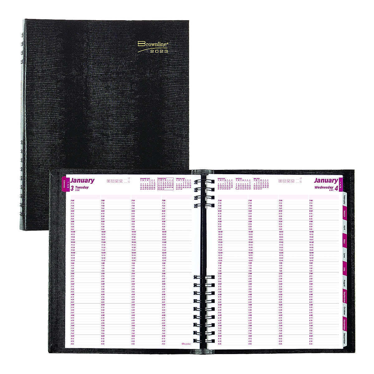 Brownline 2023 CoilPro Daily Professional Planner, Four-Person Appointment Book, 12 Months, January to December, Twin-Wire Binding, 11" x 8.5", Black (CB960C.BLK-23)