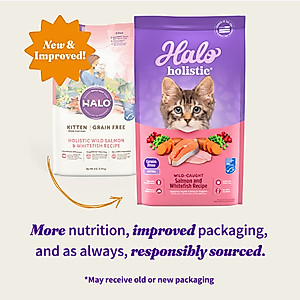 Halo Holistic Kitten Food Dry , Grain Free Wild - caught Salmon and Whitefish Recipe, Complete Digestive Health , Dry Cat Food Bag , Kitten Formula, 6-lb Bag