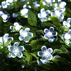 Solar Flower Fairy Lights Garden,WONFAST Waterproof 33feet 100LED Cherry Blossom Solar Powered String Lights 8 Mode for Outdoor Party Patio Garden Home Christmas Decoraions (White)
