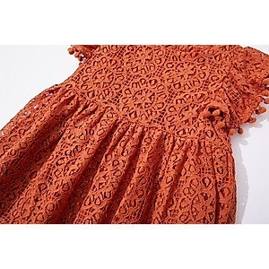 Niyage Toddler Girls Elegant Lace Pom Pom Flutter Sleeve Party Princess Dress Brick Red 100