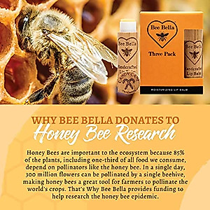 Bee Bella Lip Balm Stocking Stuffers, Candy Cane Scent, Moisturizing Lip Care Christmas Gifts, 100% Natural, Original Beeswax with Vitamin E, Handmade in USA (3 Pack)