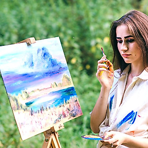 AUREUO Watercolor Paint Brush Set - 15 Nylon Painting Brushes, Sponge & Color Palette with a Pop-up Carrying Case as Paint Brush Holder for Beginner Watercolor Painting