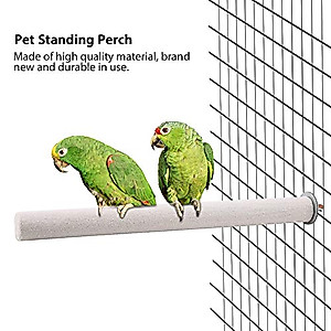 GLOGLOW Bird Perch, Wood White Bird Parrot Perch Standing Bar Pets Cage Accessory Grinding Claw Toys for Small Medium Large Birds Cockatiel Conure(2.5×30cm)