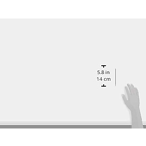 Pentel Refill Ink for BK91 Pentel R.S.V.P. Ballpoint Pen, Medium Line, Black Ink, 2-Pack (BKL10-A)