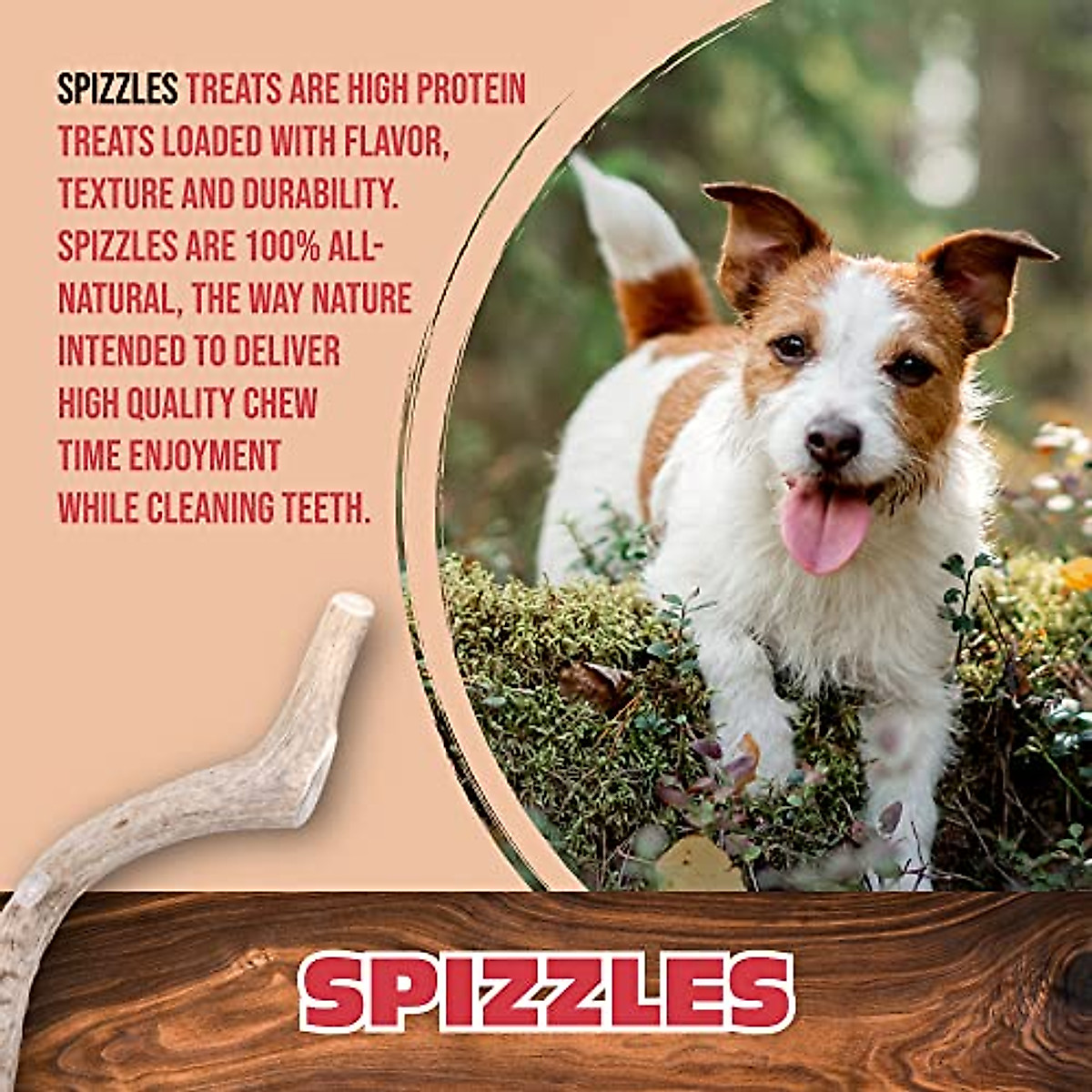 Spizzles Elk Antler Dog Chew Solid, Long Lasting Bone for Small Breed Aggressive Chewers, All Natural, No Odor, No Mess, No Preservatives, USA, 4 inch