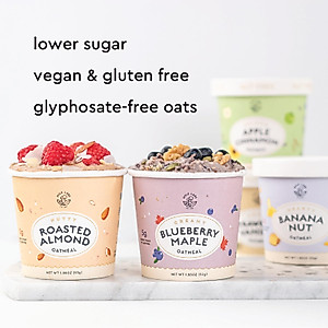 Mylk Labs Gluten Free Oatmeal Cups (30 count) All Flavor Variety Bundle - Low Sugar Breakfast, High Fiber Thin Rolled Oats, High Protein Instant Oatmeal, Non GMO, Vegan