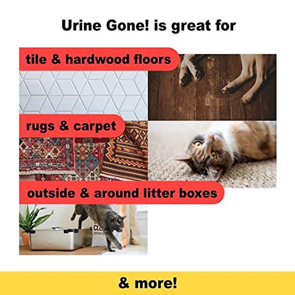Urine Gone Stain & Odor Eliminator: Professional Strength Fast-Acting Enzyme-Based Solution, Instantly Penetrates and Neutralizes into the Fibers of a Carpet, Stops Pets from Remarking