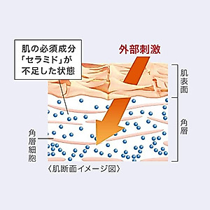 CUREL Intensive Moisture Care Moisturizer Cream 40g -helps to improve your skin's natural barrier function, soothe and protect skin from dryness