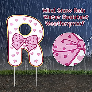 AerWo 11 Pieces Gender Reveal Decorations Baby Shower Yard Signs with Stakes,Baby Gender Reveal Ideas Yard Letters Lawn Signs Boy or Girl Gender Reveal Party Supplies