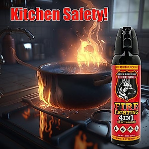 4-in-1 Mini Suppressant - Car Fire Suppressor for Auto-Mobile, Truck, Boat - Home Fire Suppressor for Kitchen - Small Fire Suppressor for Clothing, Batteries - Portable Fire Eliminator - 2 Pack