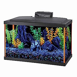 Aqueon NeoGlow LED Orange Aquarium Fish Tank Starter Kit, 10 Gallon
