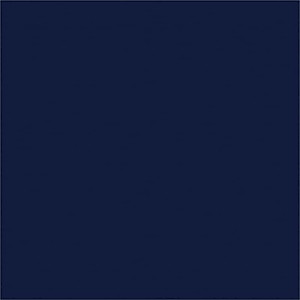 Lexicon Constance Metal Daybed with Trundle in Navy Blue